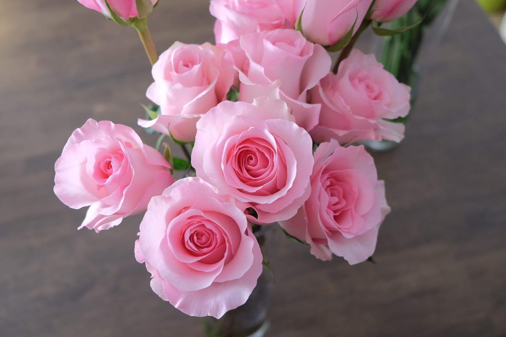 Ecuador Roses - ร้านดอกไม้ Sweetflower By Issaree