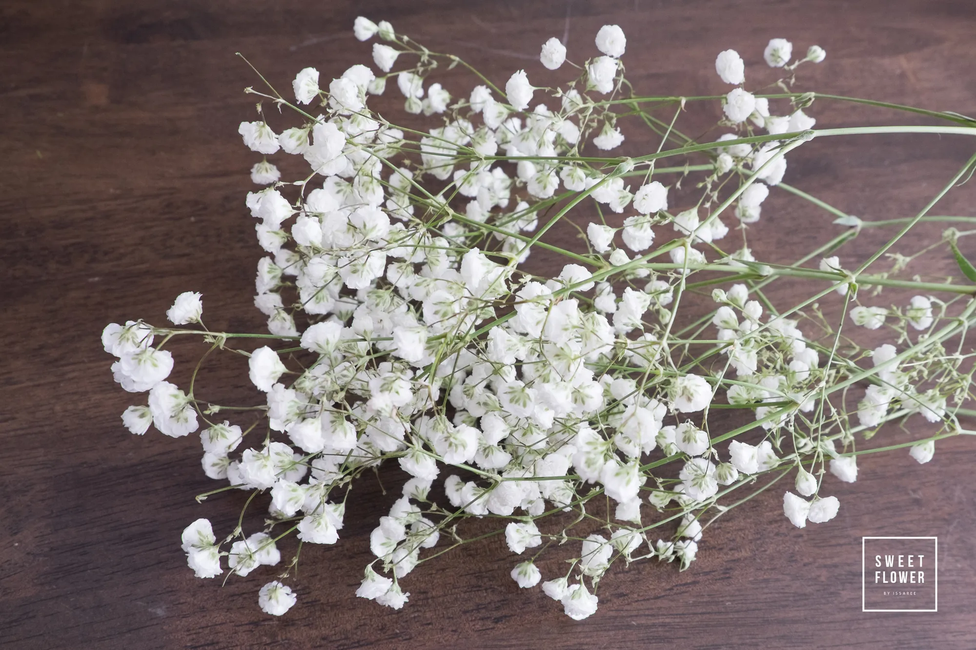 ช่อยิปซี Gypsophila
